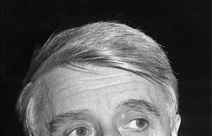 AFFAIRE BOULIN (3) : LES RESPONSABLES DU RPR MENACÉS
